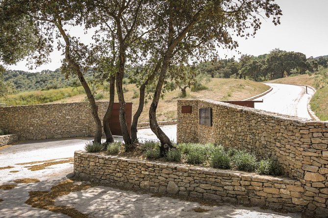 Ronda Private Full Day Wine Tour - Who Would Love This Tour?