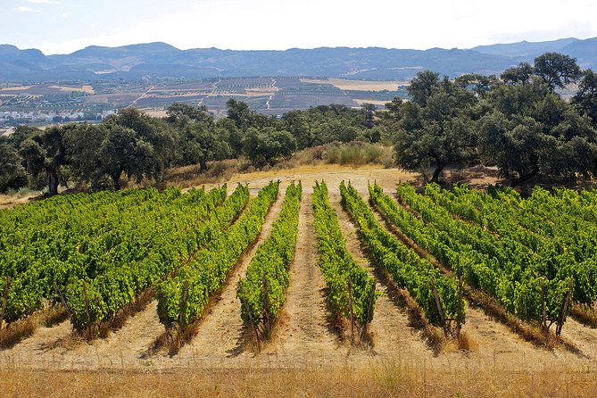 Ronda Private Full Day Wine Tour - FAQ