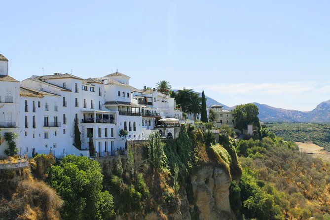 Ronda Private Tour From Seville - Experiencing Andalusian Wineries