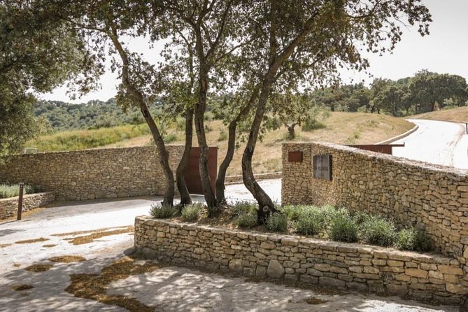 Ronda Private Wine Tour and Tapas from Marbella - Who Should Consider This Tour?