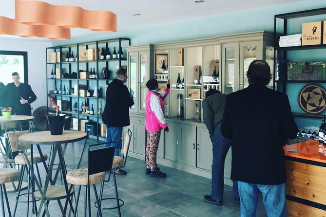 Ronda Private Wine Tour and Tapas from Marbella - The Sum Up