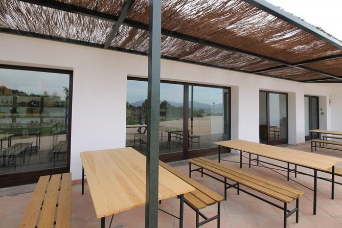 Ronda Private Wine Tour + Free Time in Ronda - Why Choose This Tour