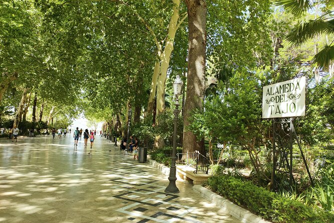 Ronda, the Dreamt City: Private Walking Tour - Diving Into Rondas Captivating History