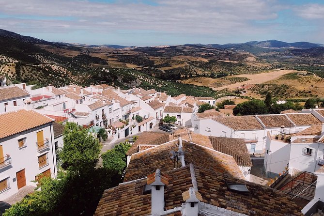 Ronda & White Villages Small Group Tour From Seville - Tour Experience and Guides