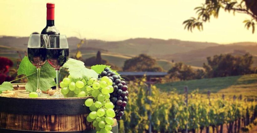 Ronda winery tour from Seville - FAQ