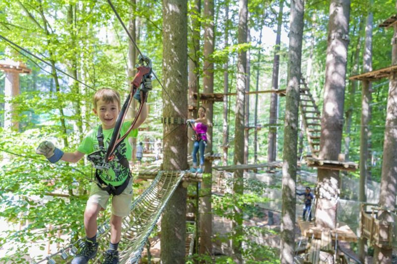 Rope Park Interlaken: Climbing Adventure With Entry Ticket - Ropes Course Experiences