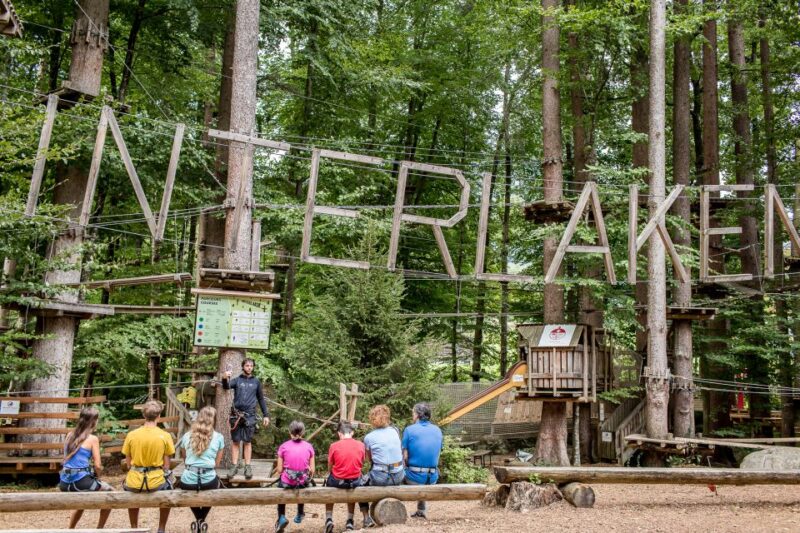 Rope Park Interlaken: Climbing Adventure With Entry Ticket - Difficulty Levels and Challenges