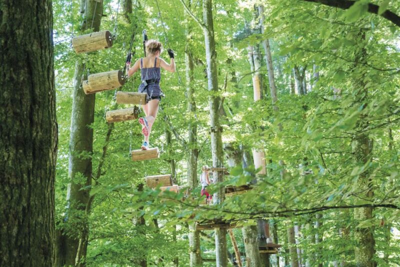 Rope Park Interlaken: Climbing Adventure With Entry Ticket - Safety and Supervision