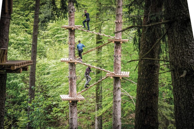 Rope Park Interlaken: Climbing Adventure With Entry Ticket - Location and Accessibility