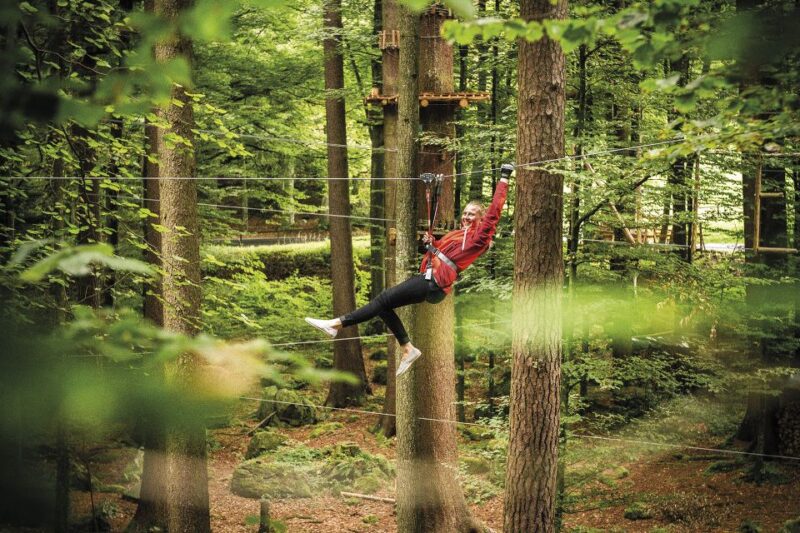 Rope Park Interlaken: Climbing Adventure With Entry Ticket - Booking and Reservations