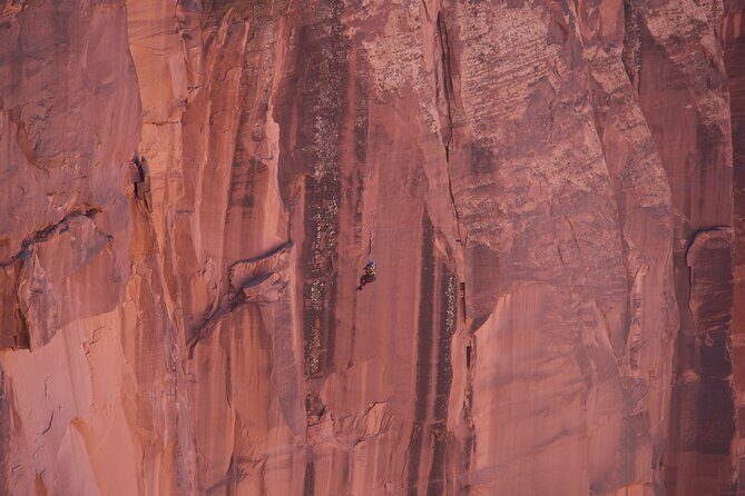 Rope Swing Moab - Authentic Experiences and Guest Feedback