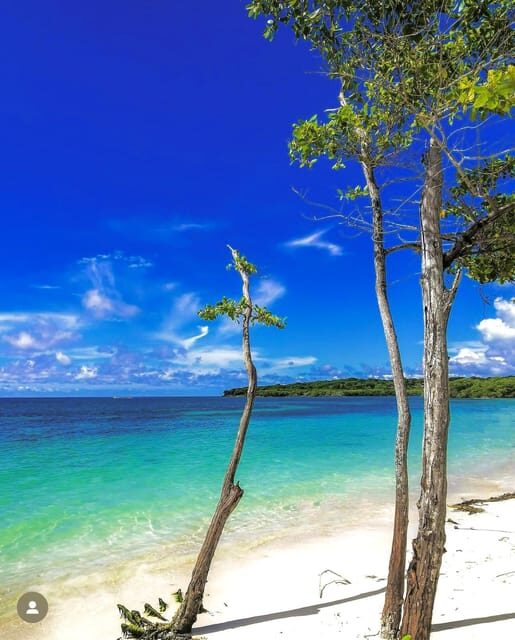 Rosario Islands -Barú : Agua Azul Beach, with lunch - The Sum Up