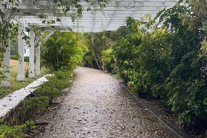 Rose Hall Great House and Montego Bay Tour - Introduction