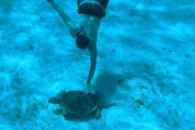 Rose Island Adventure: Snorkel, Sea Turtles, and Private Beach - Who Should Consider This Tour?