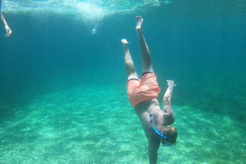 Rose Island Adventure: Turtle, Swim and Snorkel - Who Will Love This Tour?