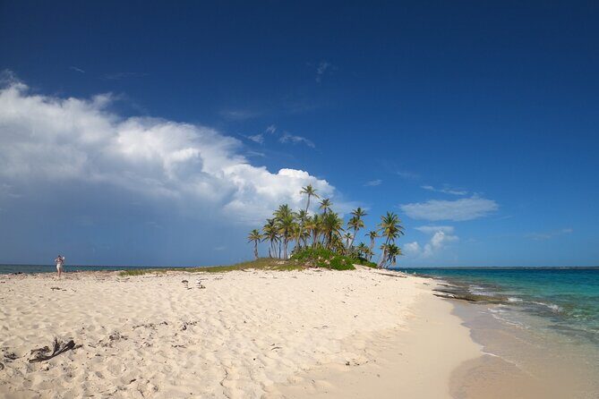 Rose Island Adventure: Turtle Swim and Snorkel - A Detailed Look at the Rose Island Adventure Tour