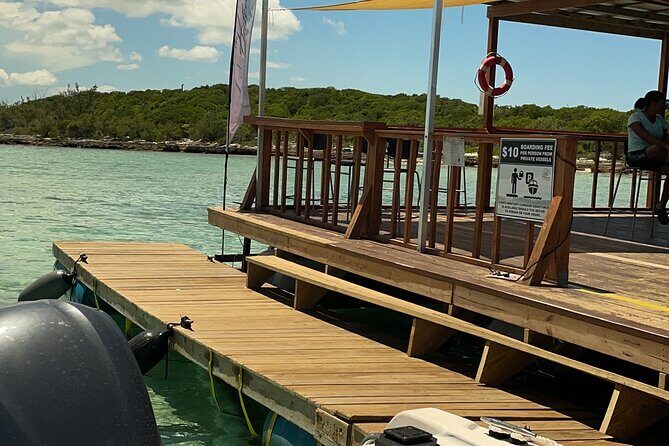 Rose Island Boat Party, Beach Getaway & Floating Bar - The Pros and Cons: Balancing Expectations