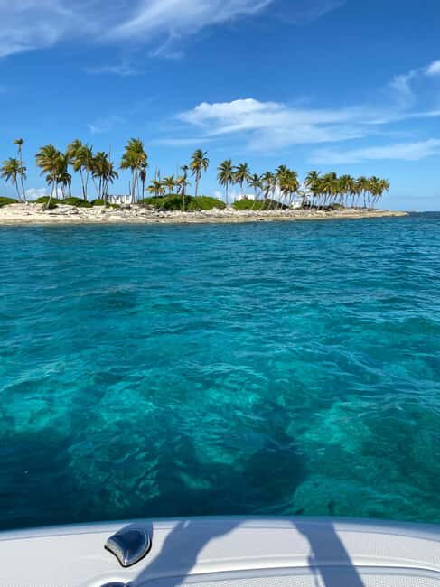 Rose Island: Pig Beach, Snorkeling, Sea Turtles, Beach - Key Points