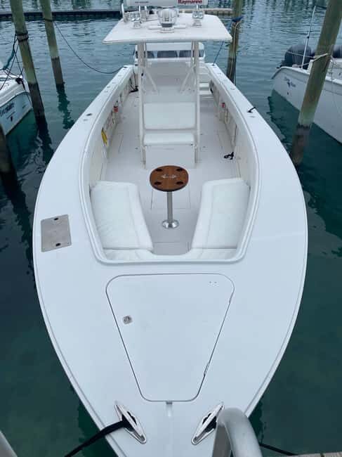 Rose Island: Pig Beach, Snorkeling, Sea Turtles, Beach - Snorkeling and Wildlife Encounters