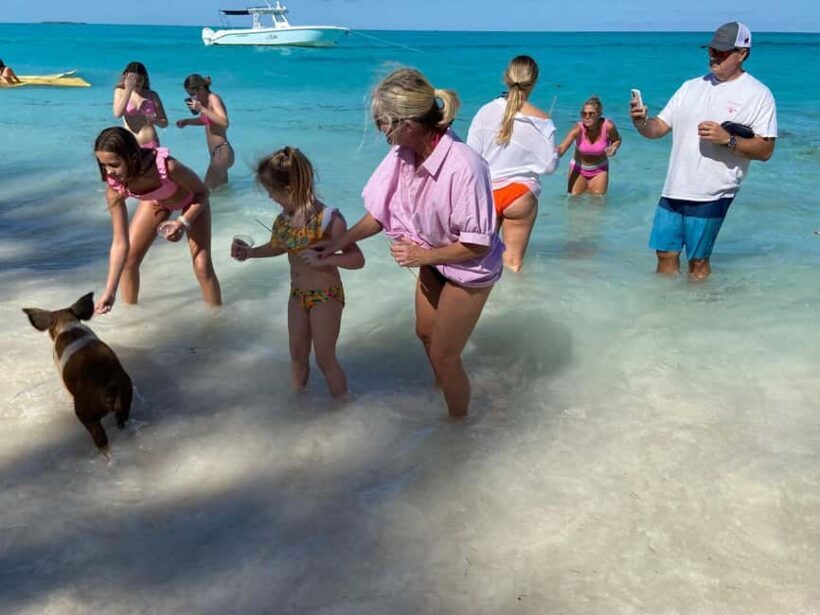 Rose Island: Pig Beach, Snorkeling, Sea Turtles, Beach - Food, Drinks, and the Overall Experience