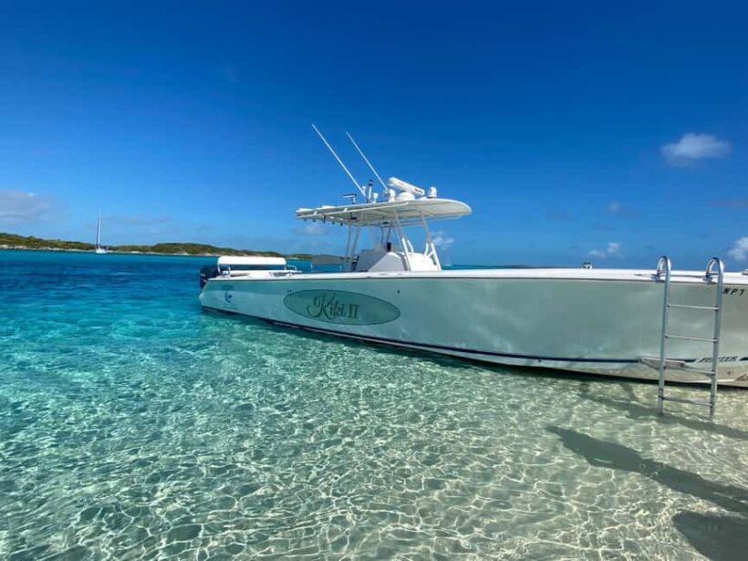 Rose Island: Pig Beach, Snorkeling, Sea Turtles, Beach - The Cost-Benefit Analysis