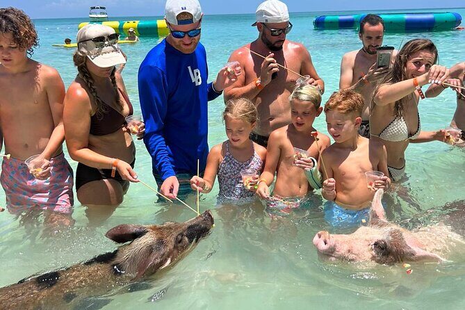 Rose Island Private Beach: Swimming with the Pigs - A Deep Dive into the Experience