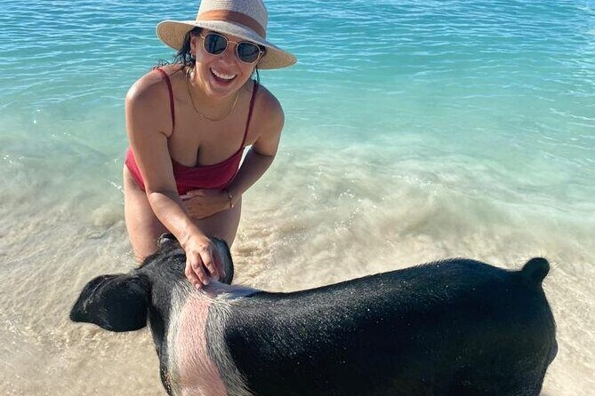 Rose Island Private Beach: Swimming with the Pigs - Final Word