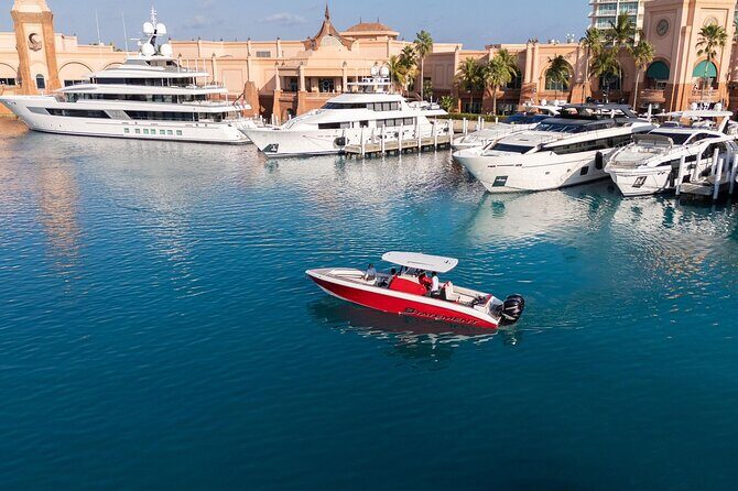 Rose Island Private Boat Tour Departing Nassau - Stop 2: The Pigs and More