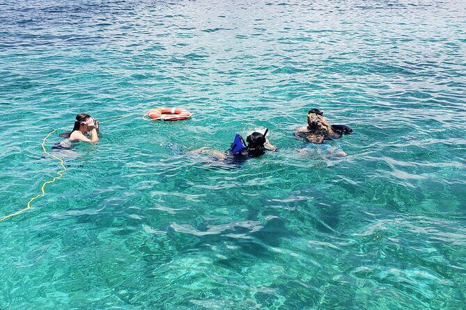 Rose Island: Private Snorkeling, Fishing, and Swimming with Pigs - Authentic Experiences From Past Guests