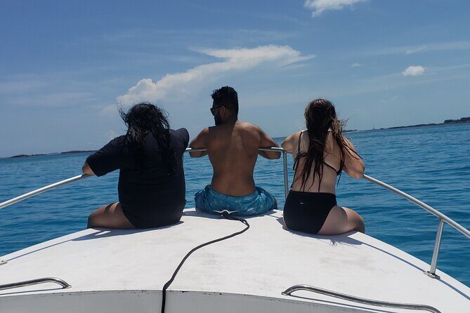 Rose Island: Private Snorkeling, Fishing, and Swimming with Pigs - The Sum Up