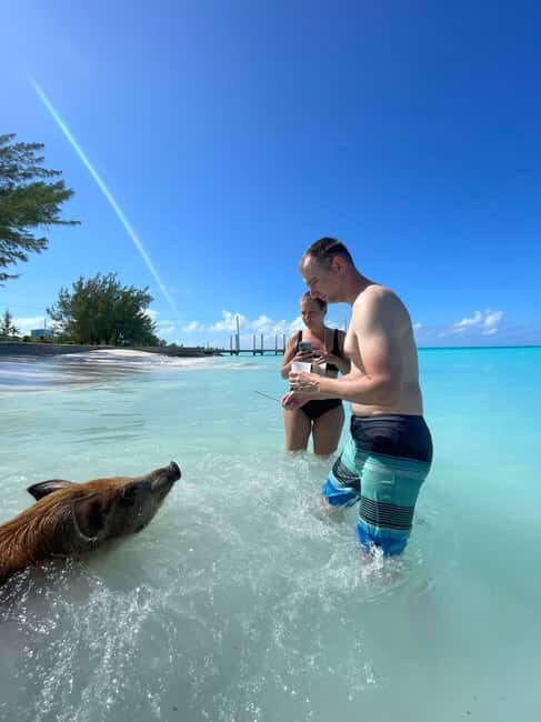 Rose Island: Snorkeling, Swimming Pigs & Unlimited Rum Punch - An In-Depth Look at the Rose Island Tour
