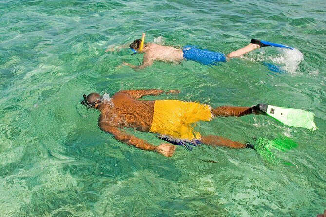 Rose Island Swimming Pigs & Beach Snorkeling Experience Nassau - An In-Depth Look at What the Tour Offers