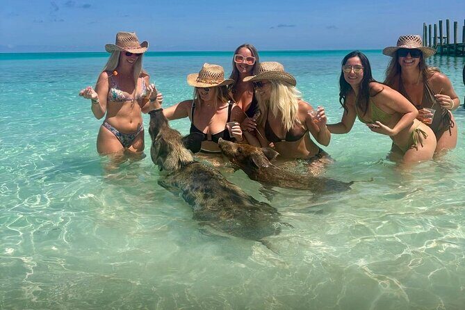 Rose Island Swimming Pigs & Beach Snorkeling Experience Nassau - Practical Tips for Travelers