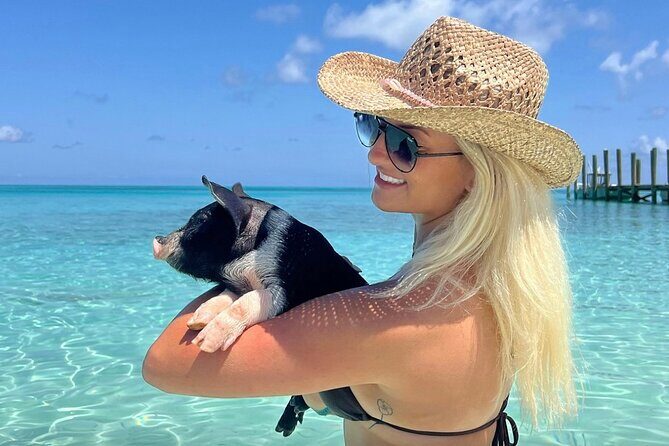 Rose Island Swimming Pigs & Beach Snorkeling Experience Nassau. - Key Points