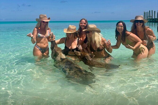 Rose Island Swimming Pigs & Beach Snorkeling Experience Nassau. - An In-Depth Look at What the Tour Entails