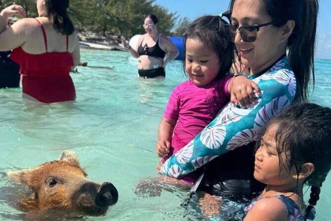 Rose Island Swimming Pigs & Beach Snorkeling Experience Nassau. - Frequently Asked Questions