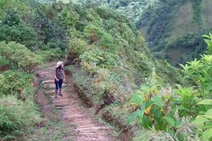 Roseau: Boiling Lake Challenge Hiking Tour with Local Guide - An In-Depth Look at the Tour Experience