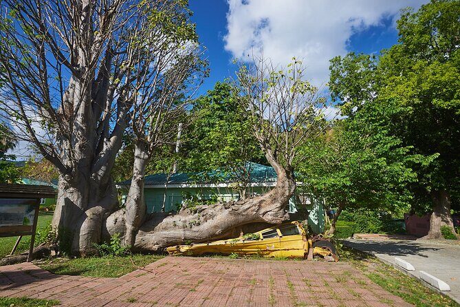 Roseau Dominica Safari Scenic: Rainforest, Falls & Karaoke - An In-Depth Look at the Tour Experience