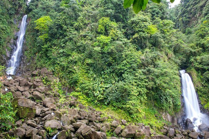 Roseau Dominica Safari Scenic: Rainforest, Falls & Karaoke - Who Will Love This Tour?