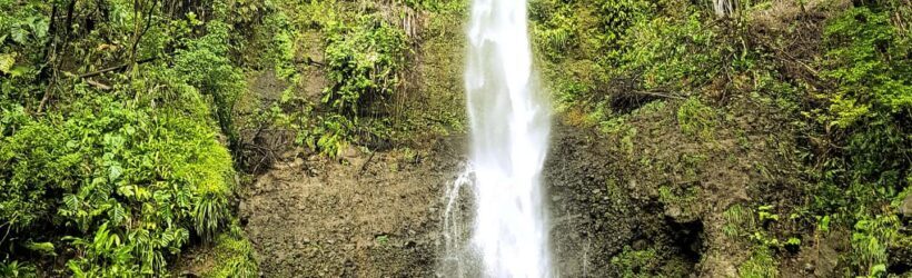 Roseau: Guided Day Trip to Popular Waterfalls - An In-Depth Look at the Tour Experience