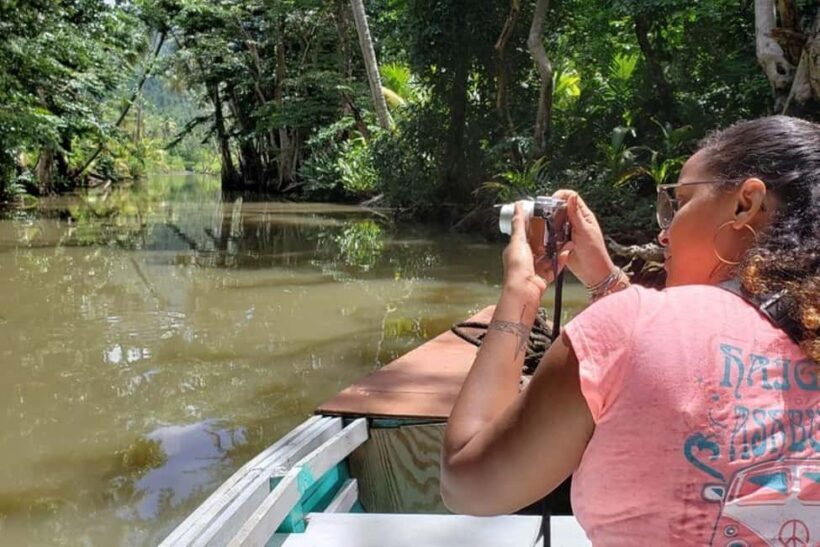 Roseau: Indian River and Fort Shirley Tour with Lunch - Key Points