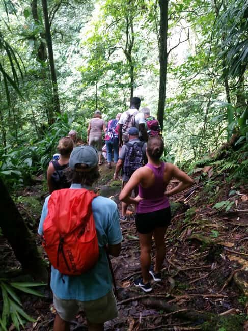 Roseau: Middleham Falls Hike & Titou Gorge Half-Day Trip - FAQ