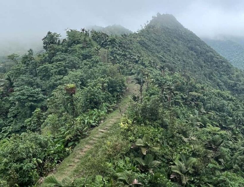 Roseau: Morne Diablotin Hike - Frequently Asked Questions