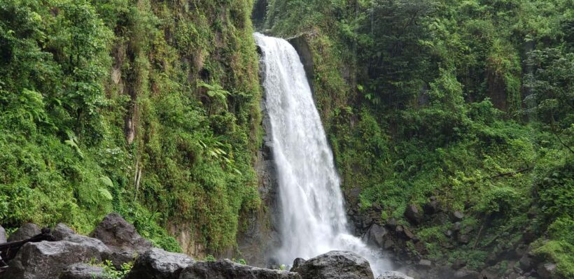 Roseau: Titou Gorge, Hot Spring, Falls & Champagne Reef Tour - The Reviews Speak Volumes