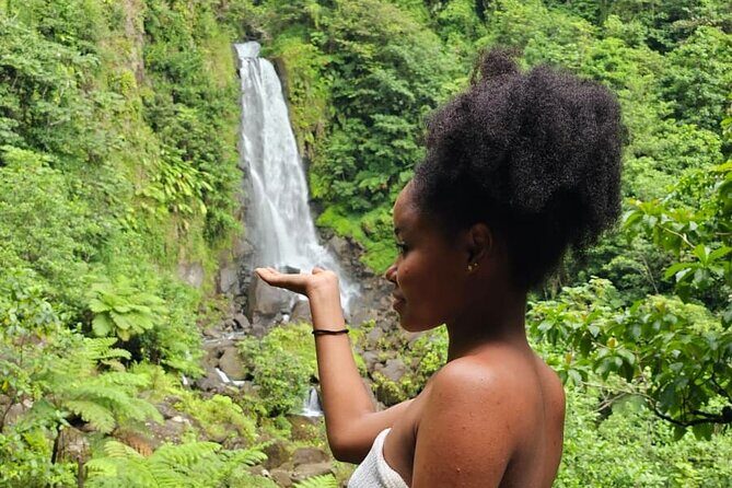 Roseau Valley to Champagne Beach Tour Experience - Who Will Love This Tour?