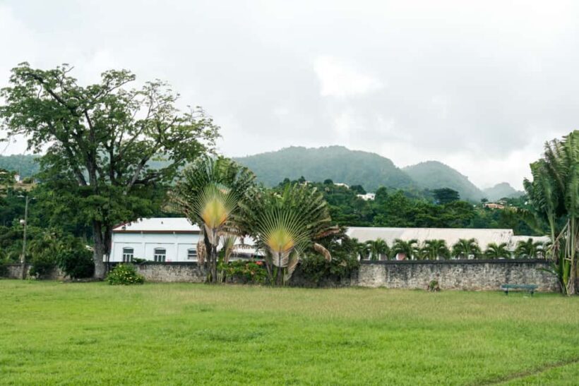 Roseaus Natural Beauty | Private Half-Day Tour - Deep Dive into the Itinerary