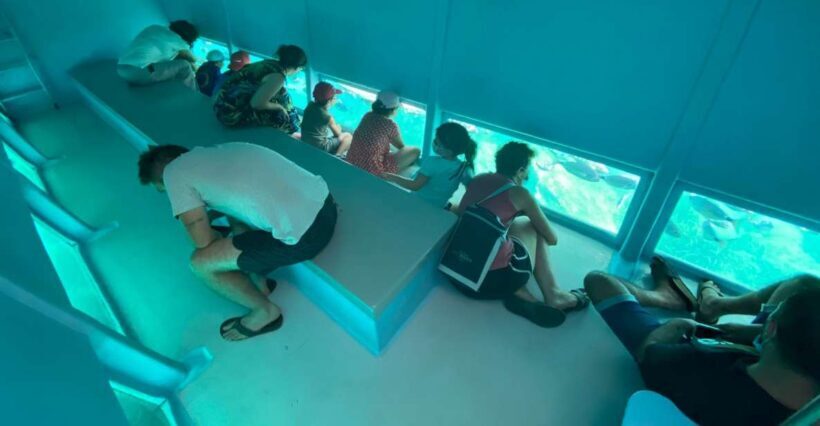 Roses: Costa Brava Catamaran Trip with Underwater Views - Key Points