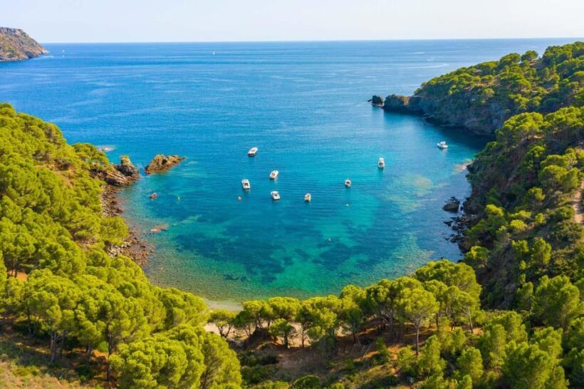 Roses: Costa Brava Catamaran Trip with Underwater Views - Who Will Love This Tour?
