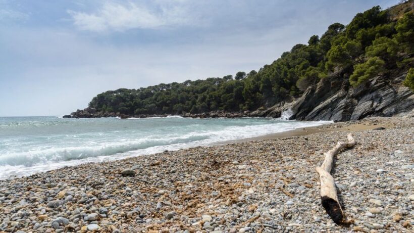 Roses: Cruise to Cala Murtra with Underwater Views - Reviews and Authentic Perspectives