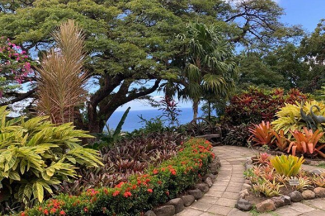 Rosevelt's Special Best of St. Kitts/Panoramic Tour - Value and Cost Analysis